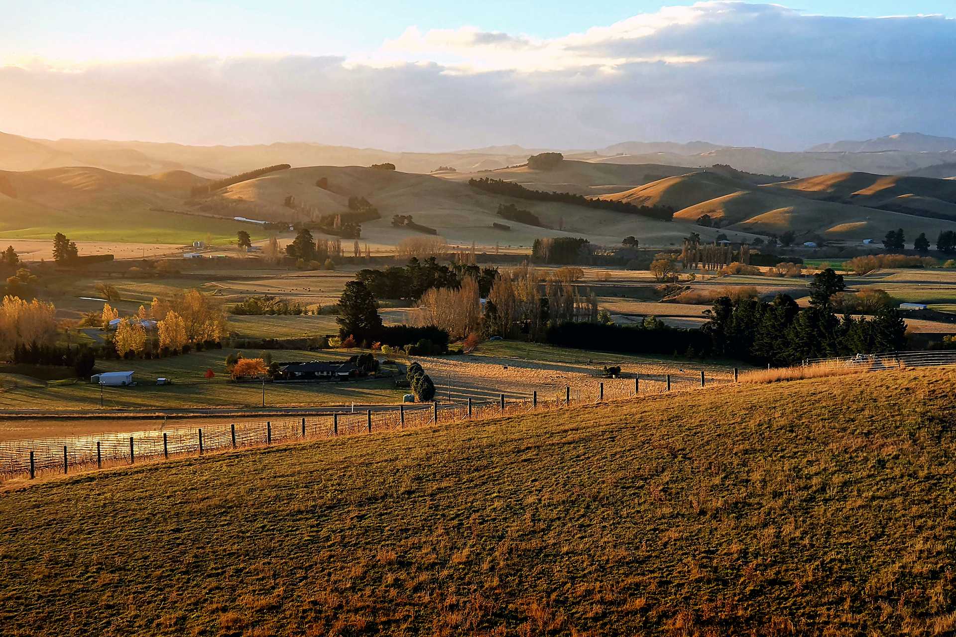 Scope & Selection – canto.hk 香港粵語